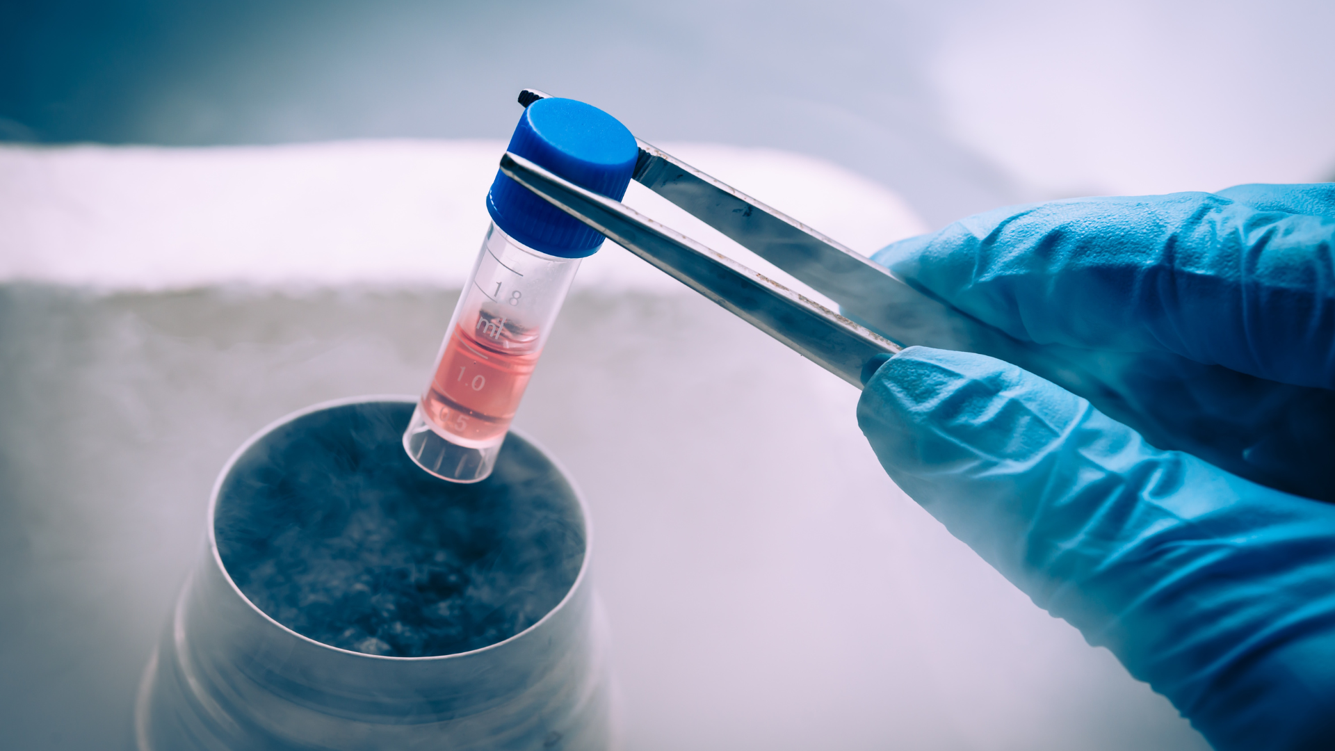Live Cell Count – Ensuring Maximum Stem Cell Viability